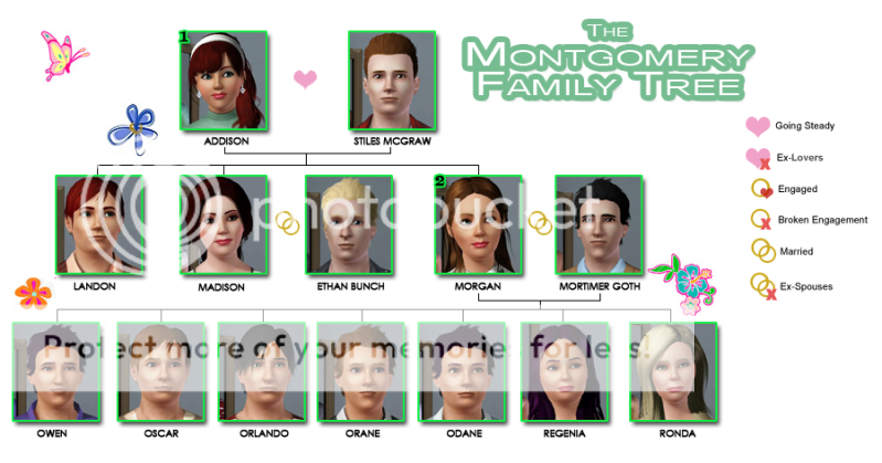 Family Tree | Montgomery Collaborative Legacy