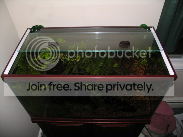 Pic's of DIY sliding glass top | The Planted Tank Forum