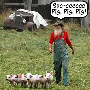 Sneek In You Single Favorite Hot Wheels Find Of The Week For 03/14-03 ...