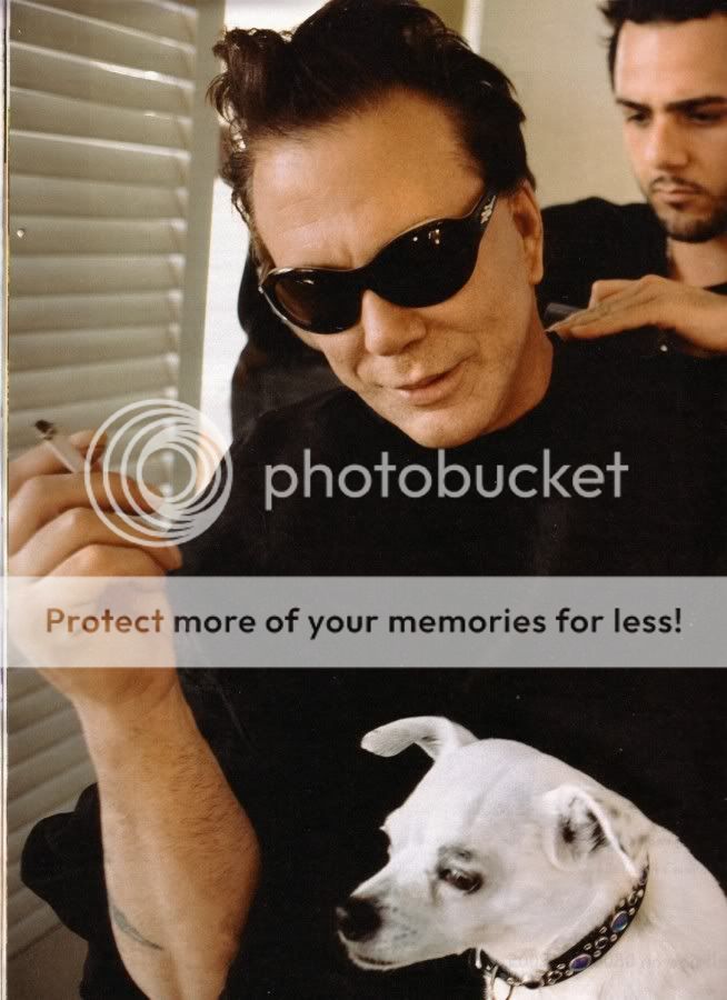 Hollywood heavyweight earns bad rap for harassing pet store MIAMI…: sir ...