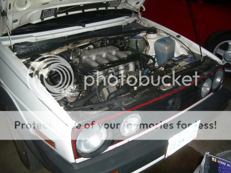 1991 GTi 2.0 16V Recaro, Very Straight Clean Body $1800 | Page 3 | VW ...