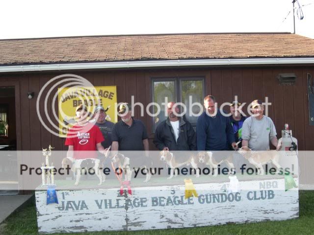 Java Village Trial Results 5/29 - 6/1 2008 - The American Beagler Forum