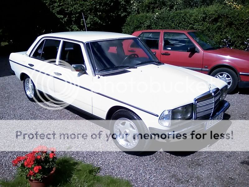 Best rims for w123 - PeachParts Mercedes-Benz Forum