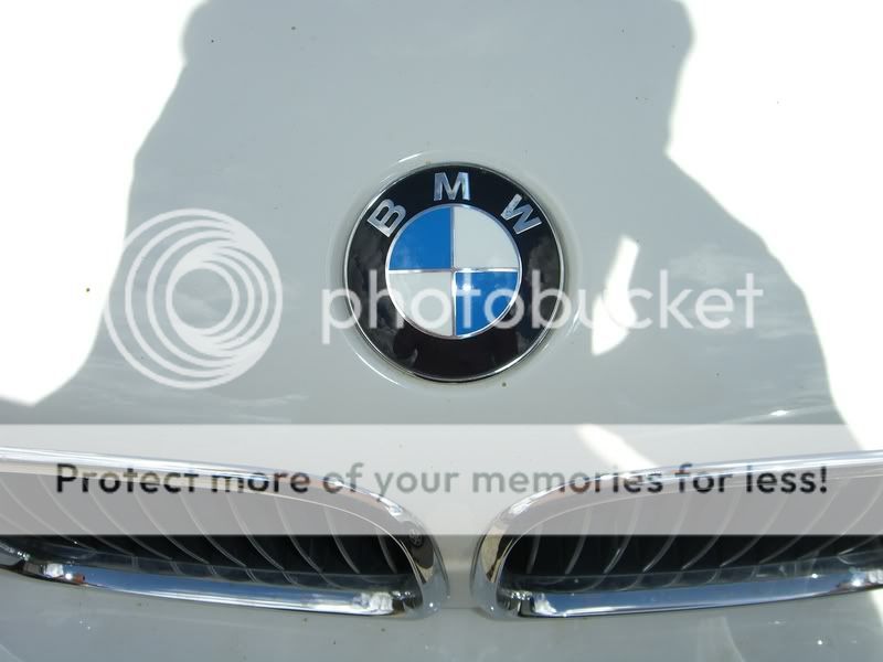 Alpine Weiss III Unite!!! | BimmerFest BMW Forum