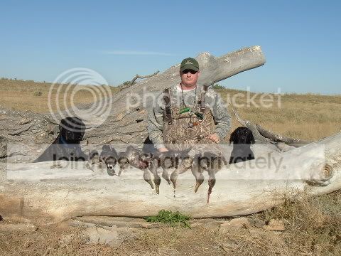 lets see some pics | Duck Hunting Forum