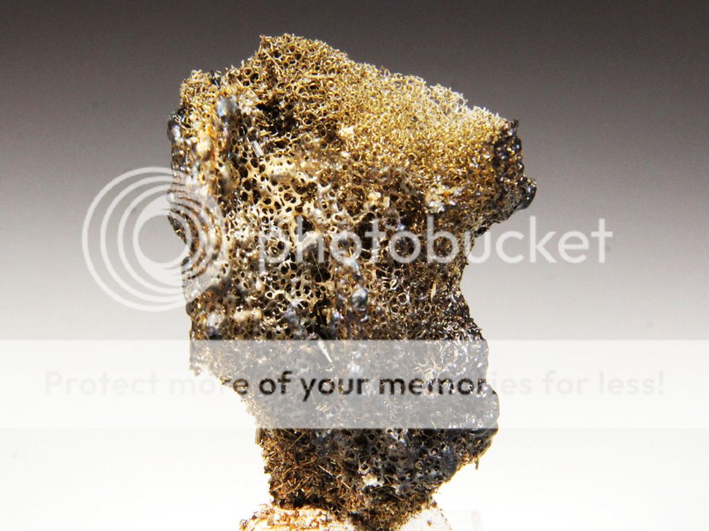 Rare Volcanic Rock Reticulite-Thread Lace Scoria, 1983 Mauna LOA LAVA ...